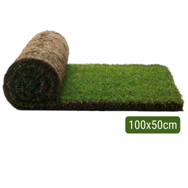 GrassBox – GrassBox