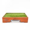 GrassBox – GrassBox