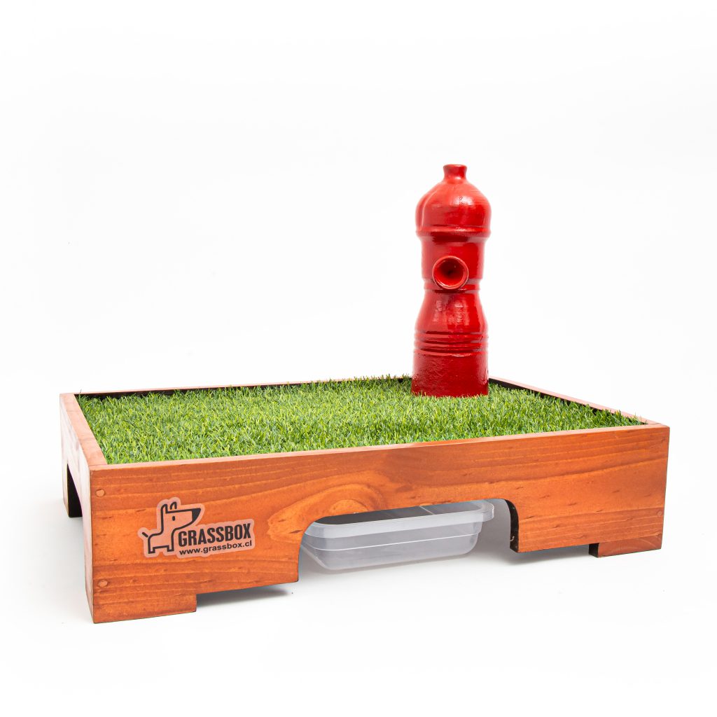 Ver toda la Tienda – GrassBox