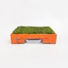 Mini-GrassBox Natural – GrassBox
