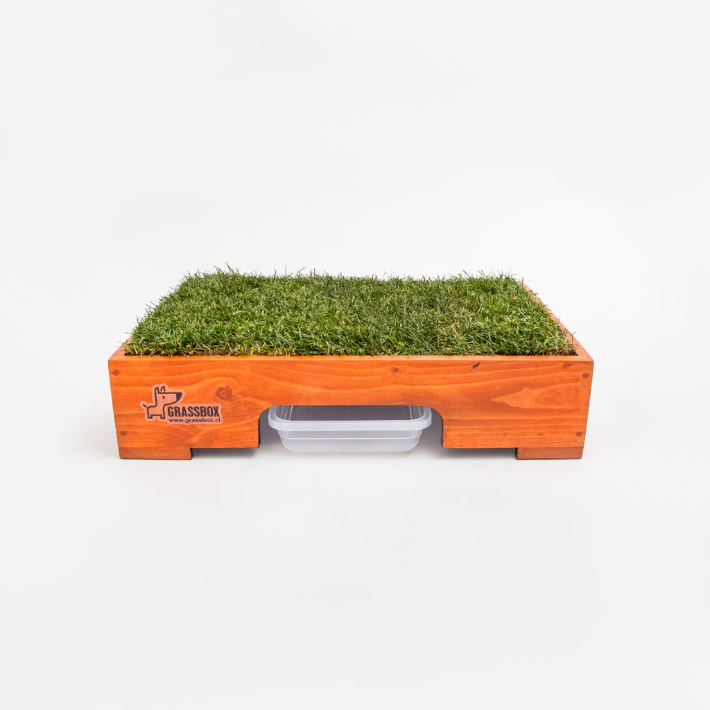 Mini-GrassBox Natural – GrassBox