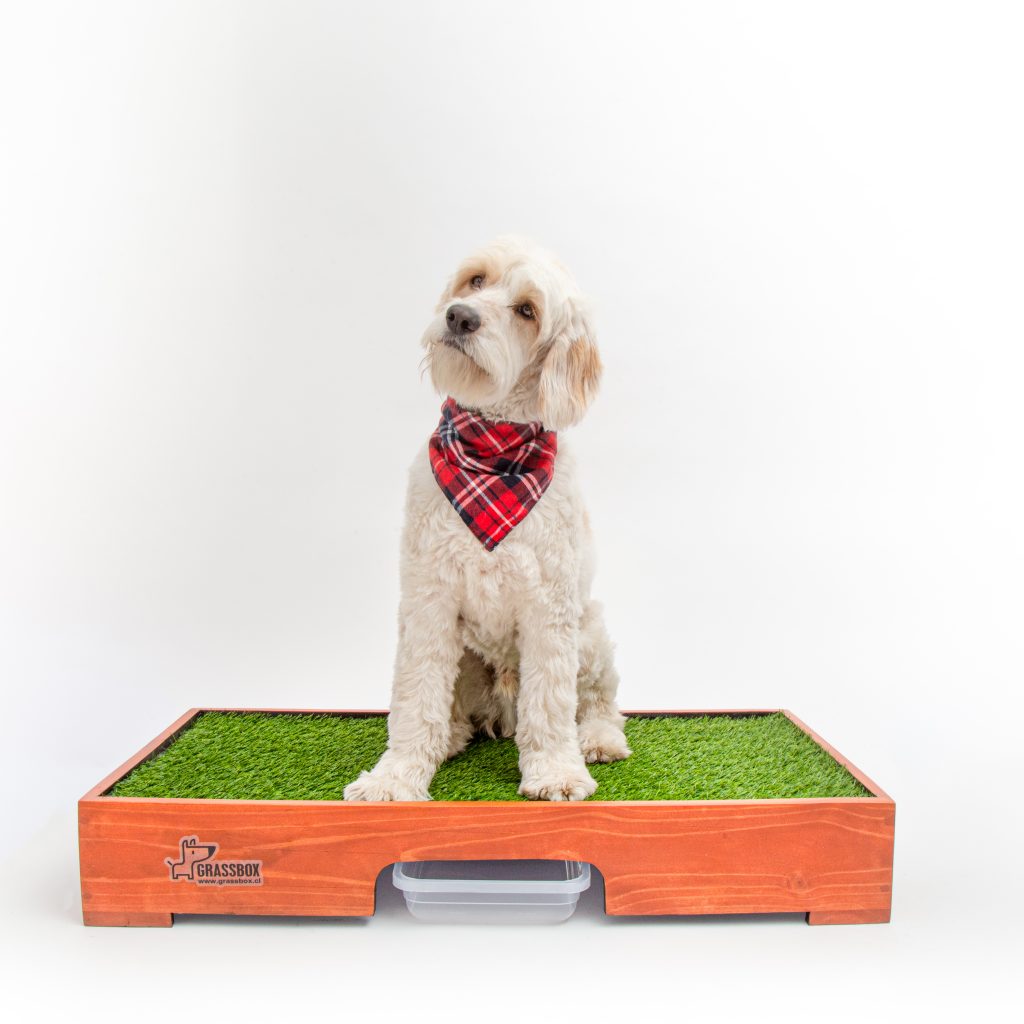 GrassBox Grande Sintético – GrassBox